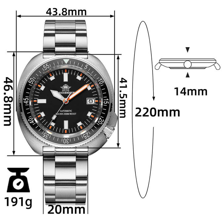 Turtle Diver Collection